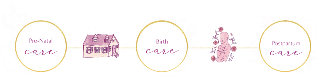 Embrace Birth - Embrace Birth VA